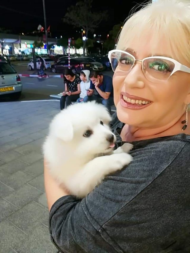 אנה, 74, כרמיאל - "date50plus"