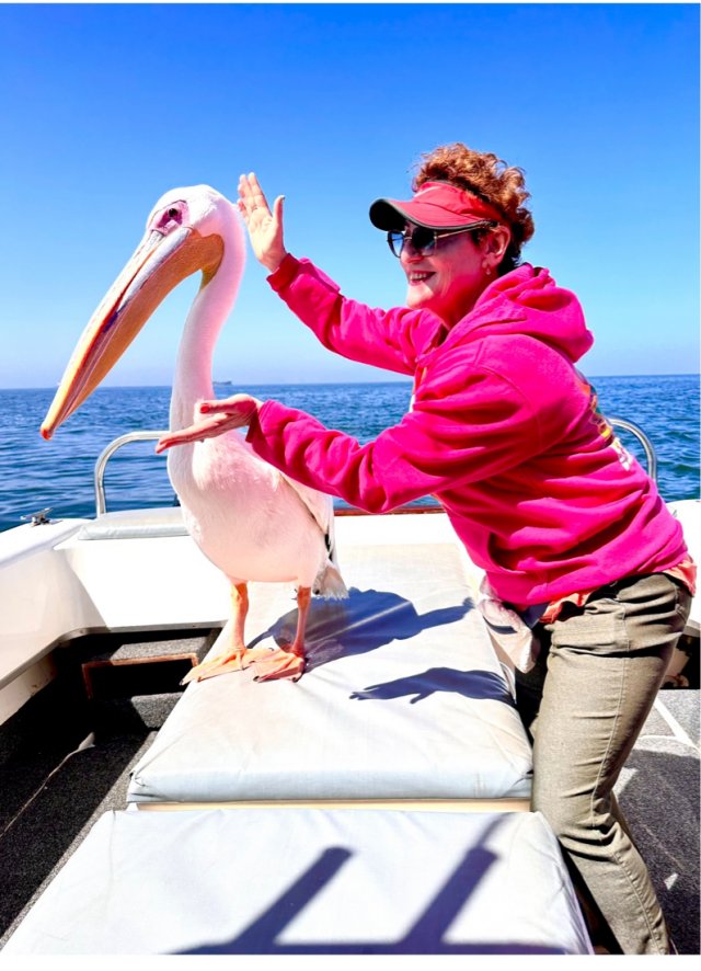 Ilana, 57, תל אביב - "date50plus"