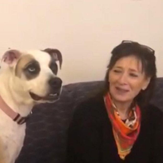 Rosine, 65, תל אביב - "date50plus"